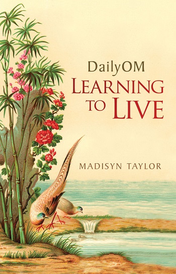DailyOm: Learning to Live