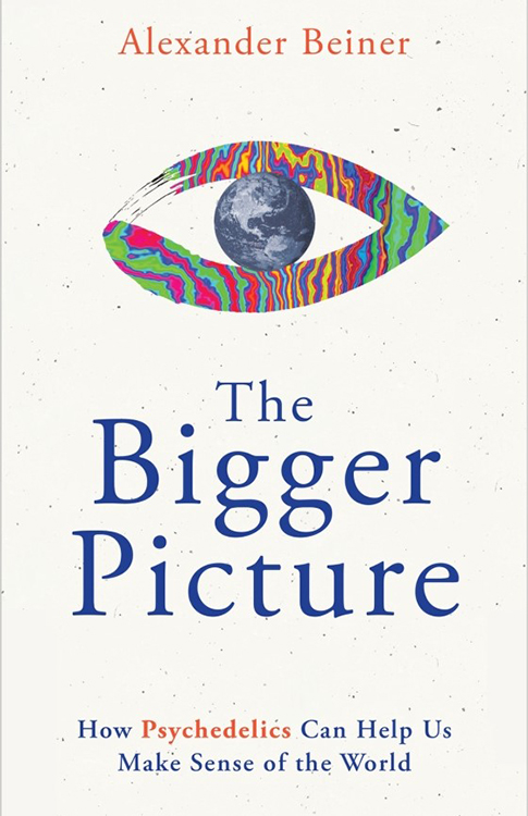 The Bigger Picture