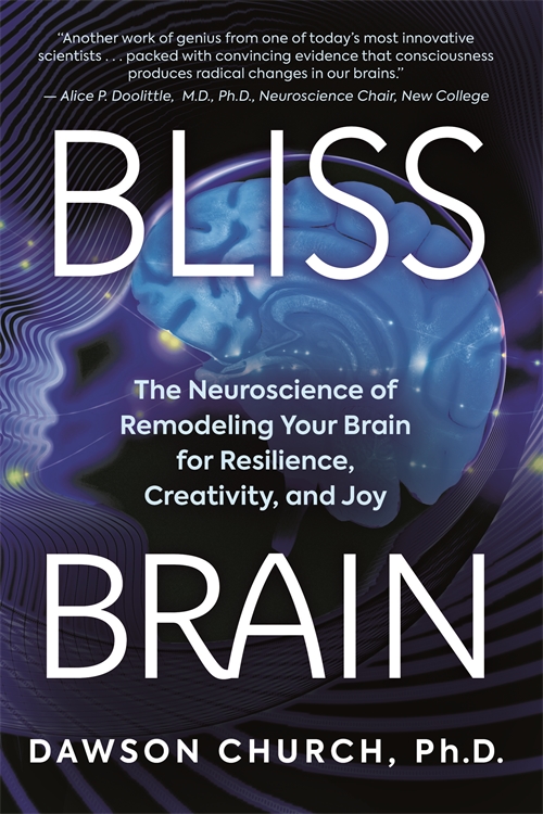 Bliss Brain