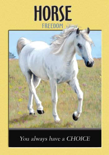 Power Animal Oracle Cards