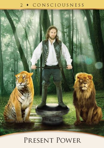 The Quantum Oracle - A 53-Card Deck and Guidebook