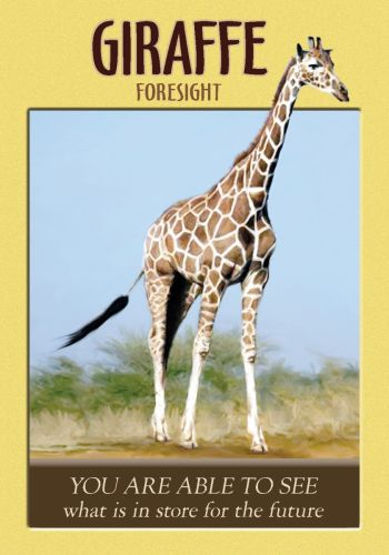 Power Animal Oracle Cards