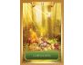 Energy Oracle Cards