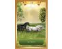 Energy Oracle Cards